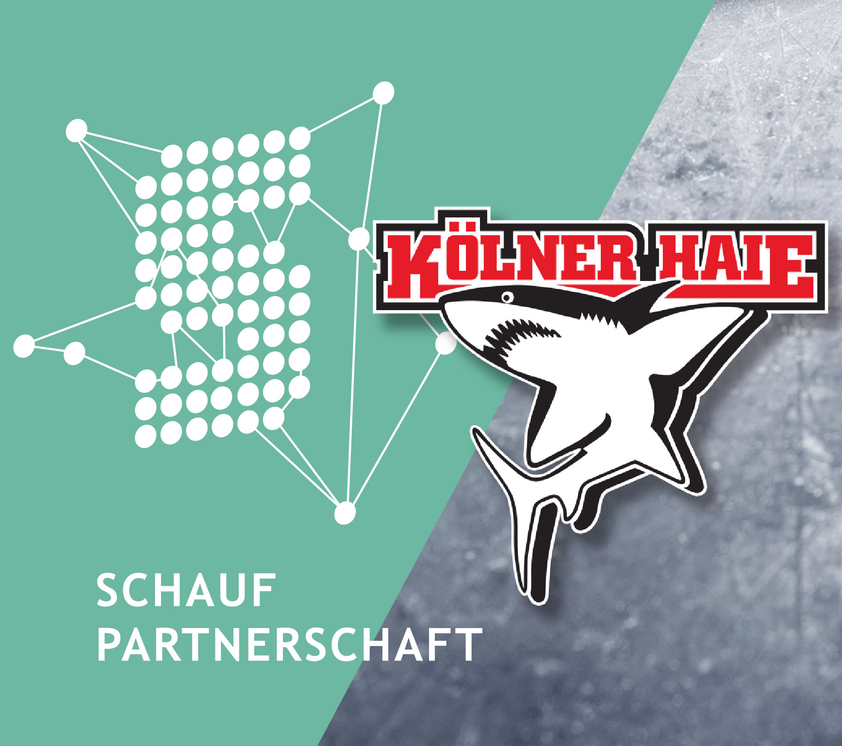 Neue Partnerschaft mit den Kölner Haien | Schauf GmbH